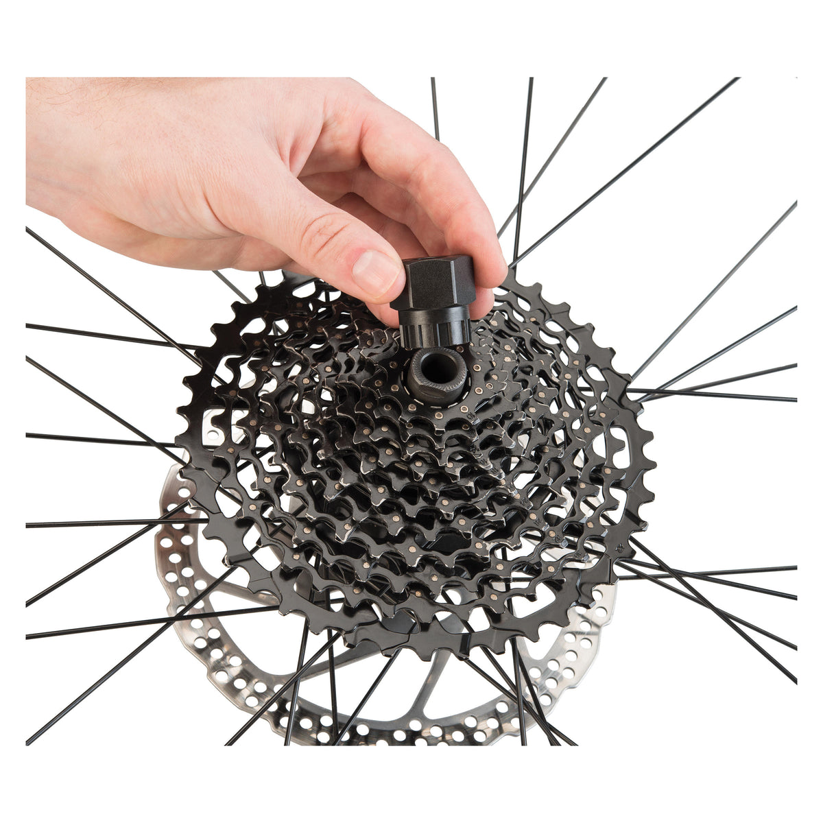 Cassette Lockring Tool – Bike Mart